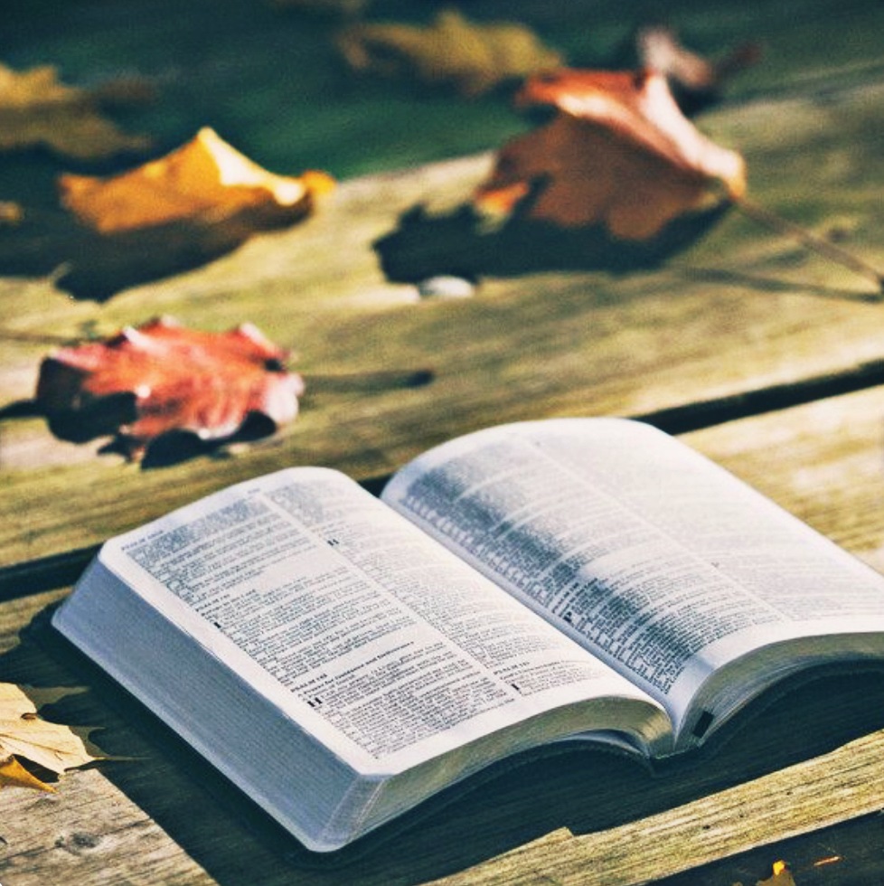 Five Things to Be Thankful for in 2020 – Breathe. Pray. Repeat.